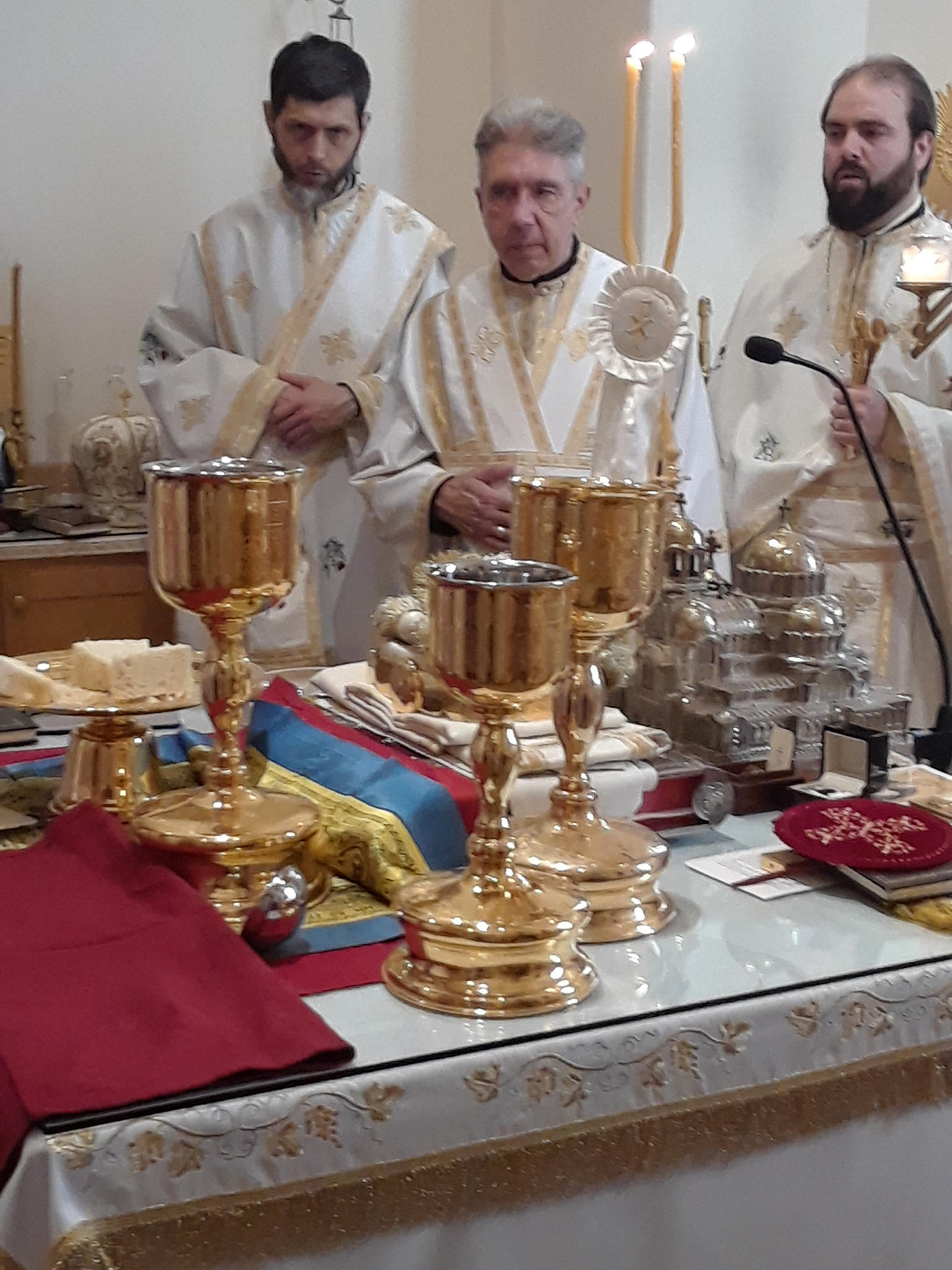 Hierarchical Visitations, New Ordinations, and the Establishment of a ...