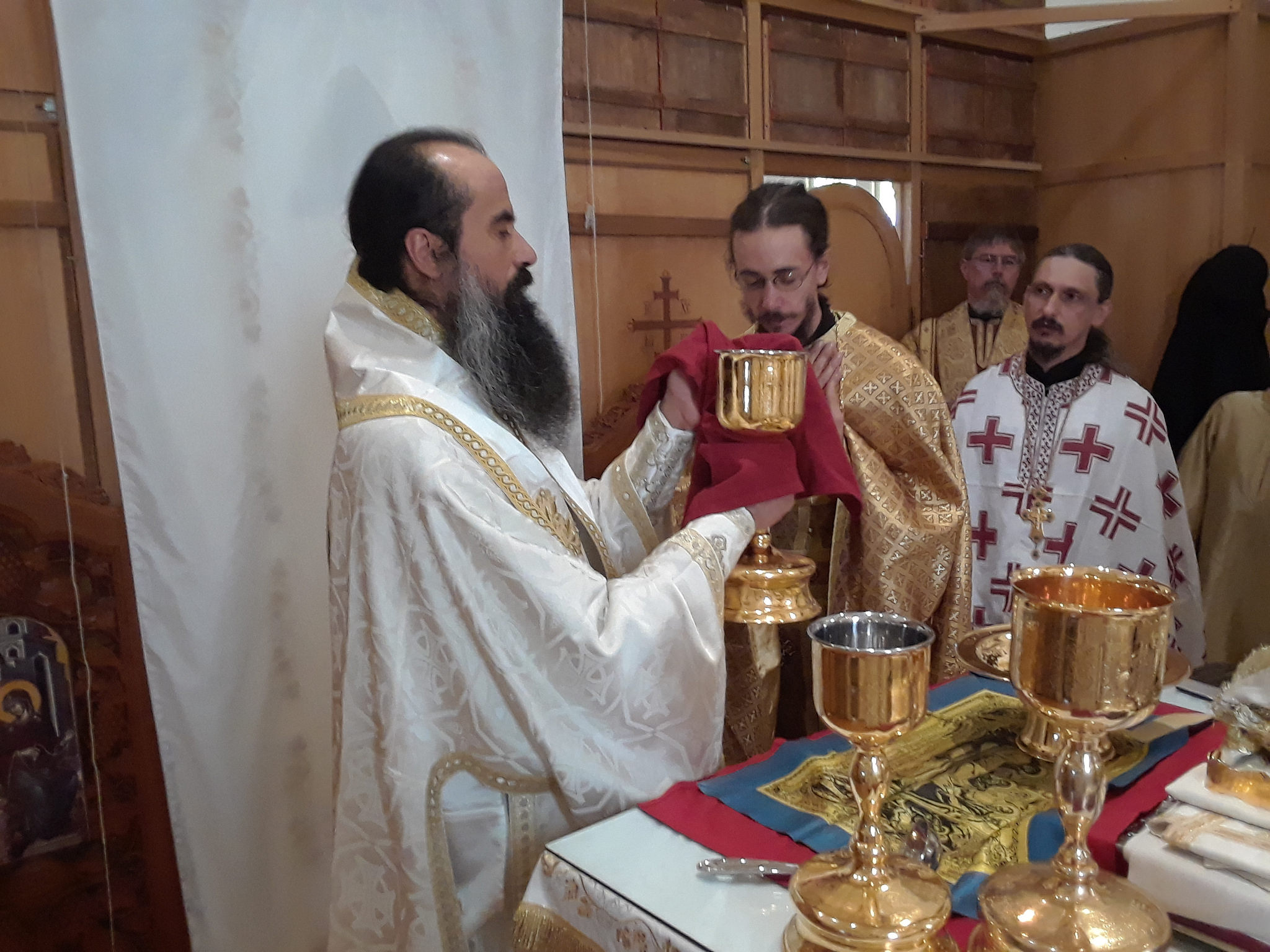 Hierarchical Visitations, New Ordinations, and the Establishment of a ...