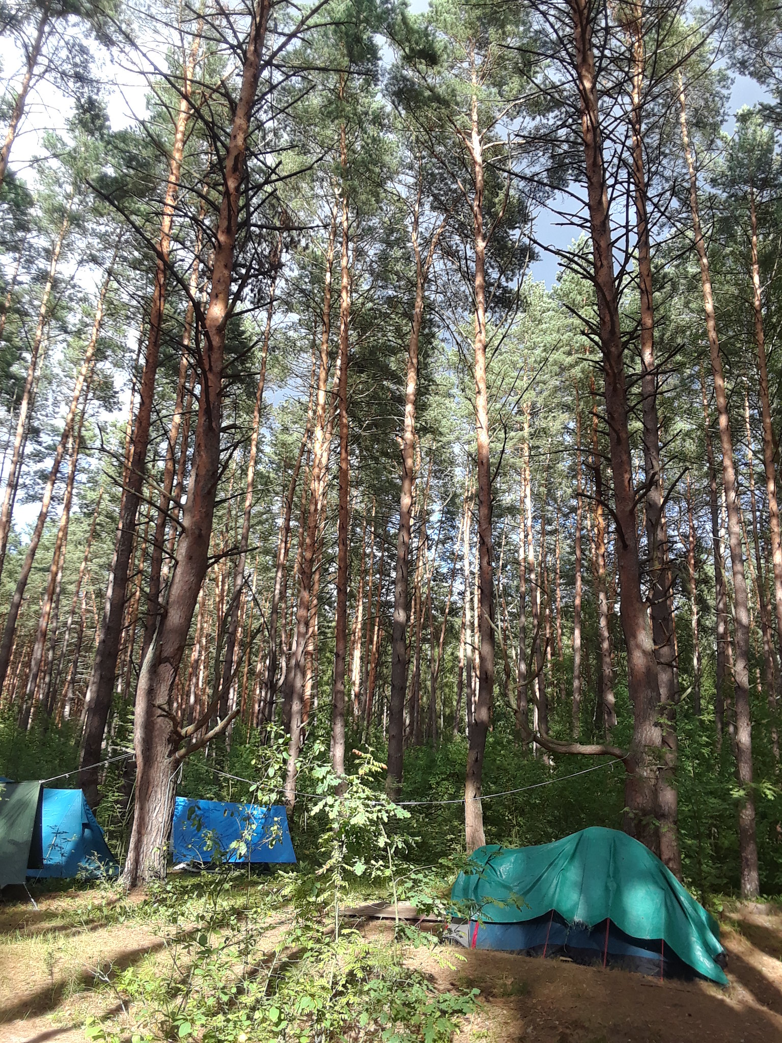 A Sober Exuberance | Like Mendicant Monks…